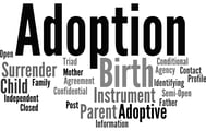 Common Terms in Adoption