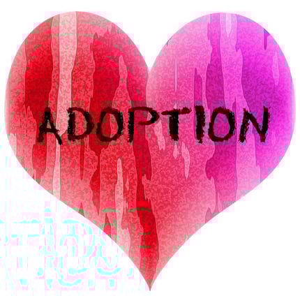 Home Study Services - Steps to Adopting