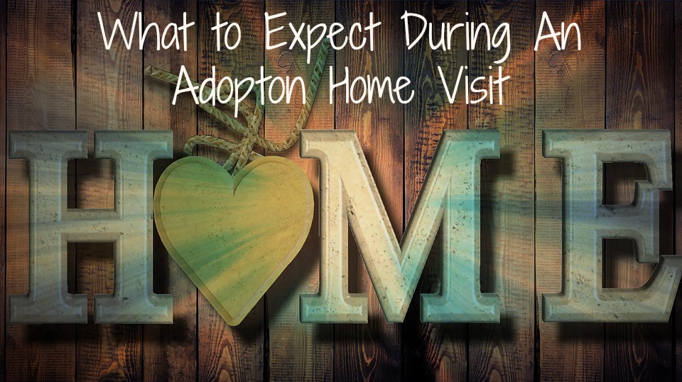 What to Expect During An Adoption Home Visit